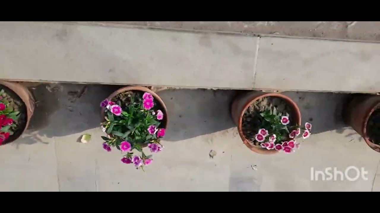 9 January 2025 - YouTube