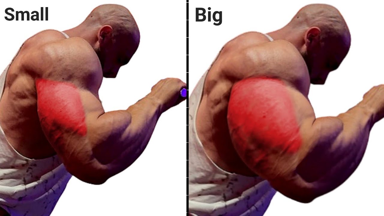 Tricep Exercises for Big Stronger Triceps - YouTube