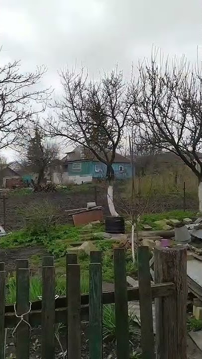 Мой стих Вид из моего окна поэзия моистихи природа Youtube
