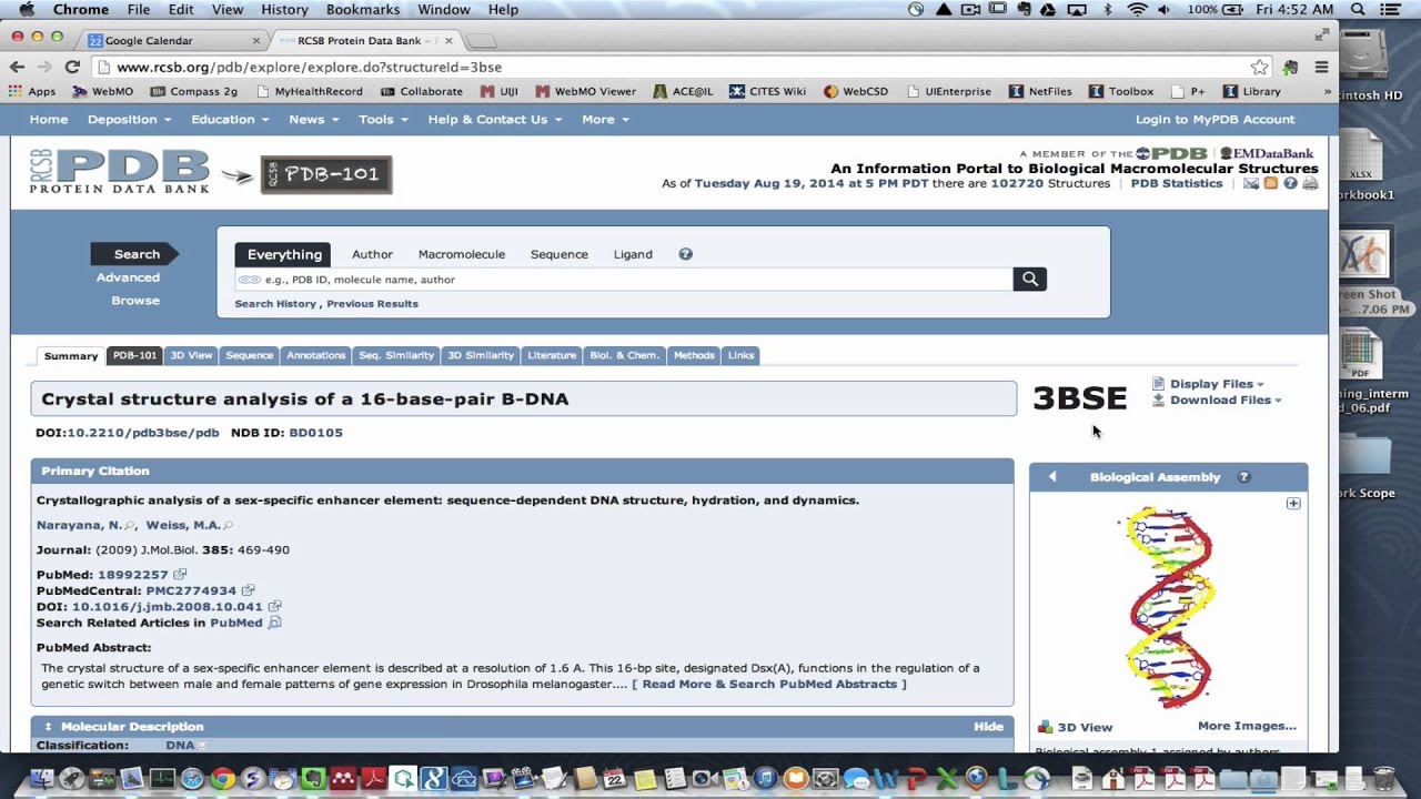 B-Form DNA from the Protein Data Bank - YouTube