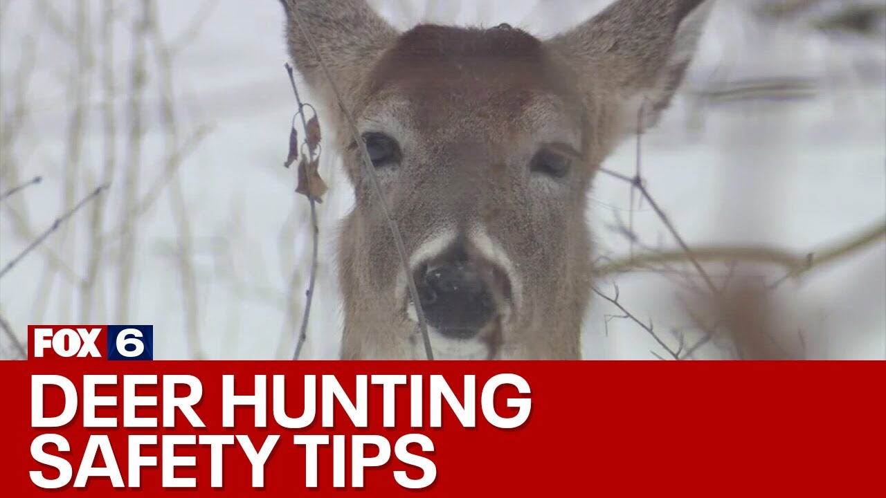 Deer hunting season around the corner; tips to stay safe | FOX6 News ...