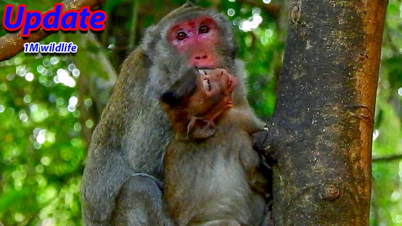 Jane great gave Jonna some bitter advise till she lost feel asking more ...