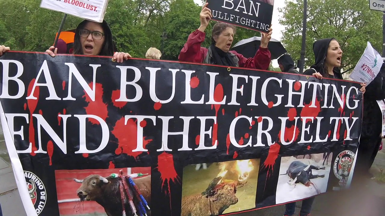 The London Anti Bullfighting Solidarity March & Protest 2018 - YouTube