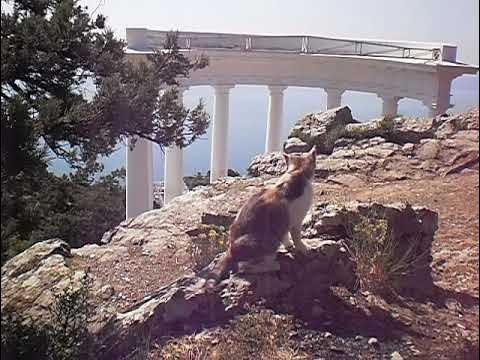 ОРЕАНДА БЕСЕДКА-ПОЛУРОТОНДА - YouTube
