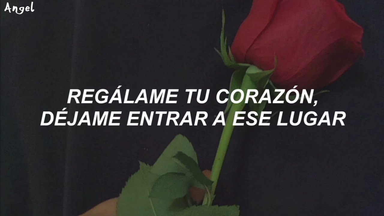 Zoé - Labios Rotos // Letra - YouTube