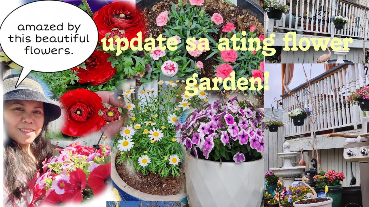 UPDATE SA ATING FLOWER GARDEN| SOBRANG GANDA NG MGA BULAKLAK THIS YEAR ...
