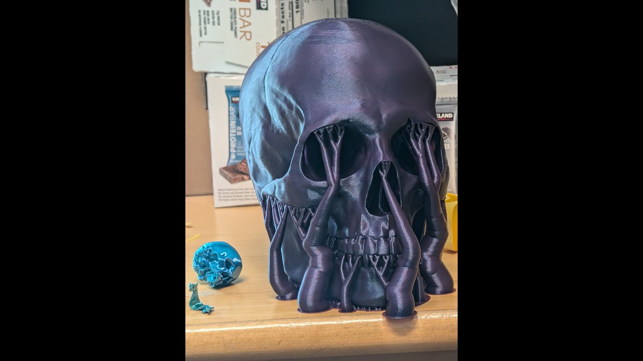 Timelapse printing a 17 hour skull, forgetting the lights were off ...
