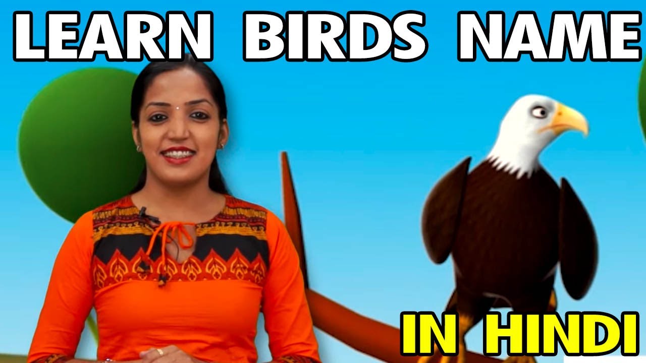 Learn Birds Names in Hindi | Hindi Learning Classes | Learn Hindi for ...