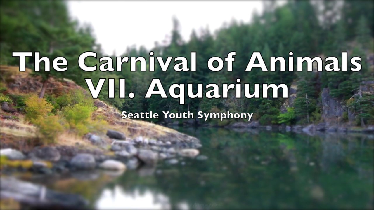 The Carnival of Animals VII Aquarium | Seattle Youth Symphony Camille ...