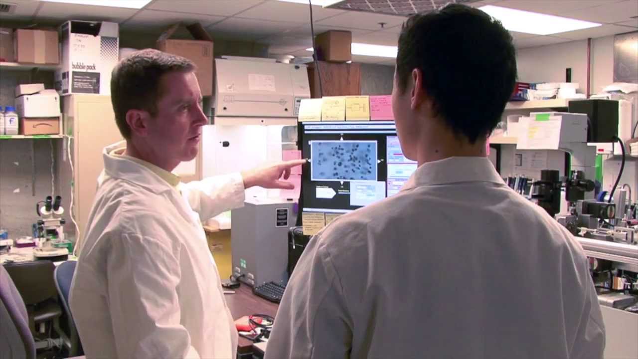 Undergraduate Research at UW Engineering - YouTube