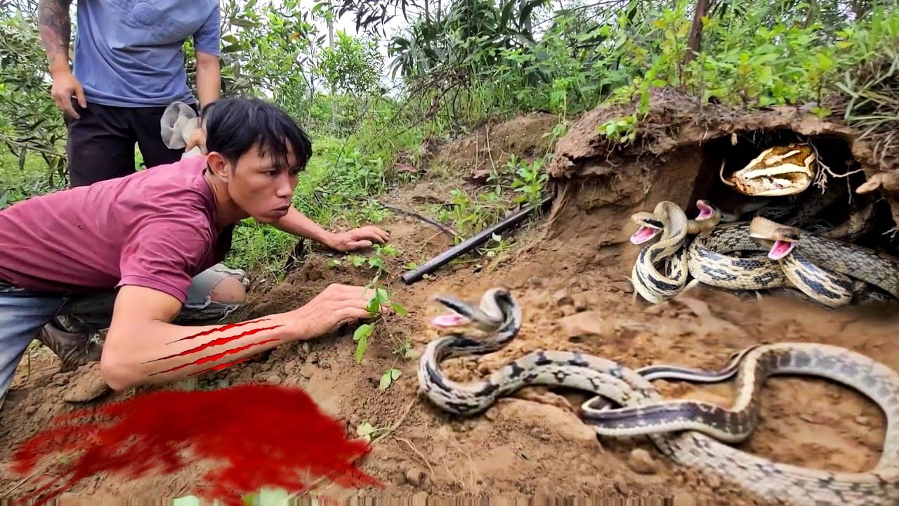 The Hunters Discovered Conquering the Dragon Snake drive - YouTube