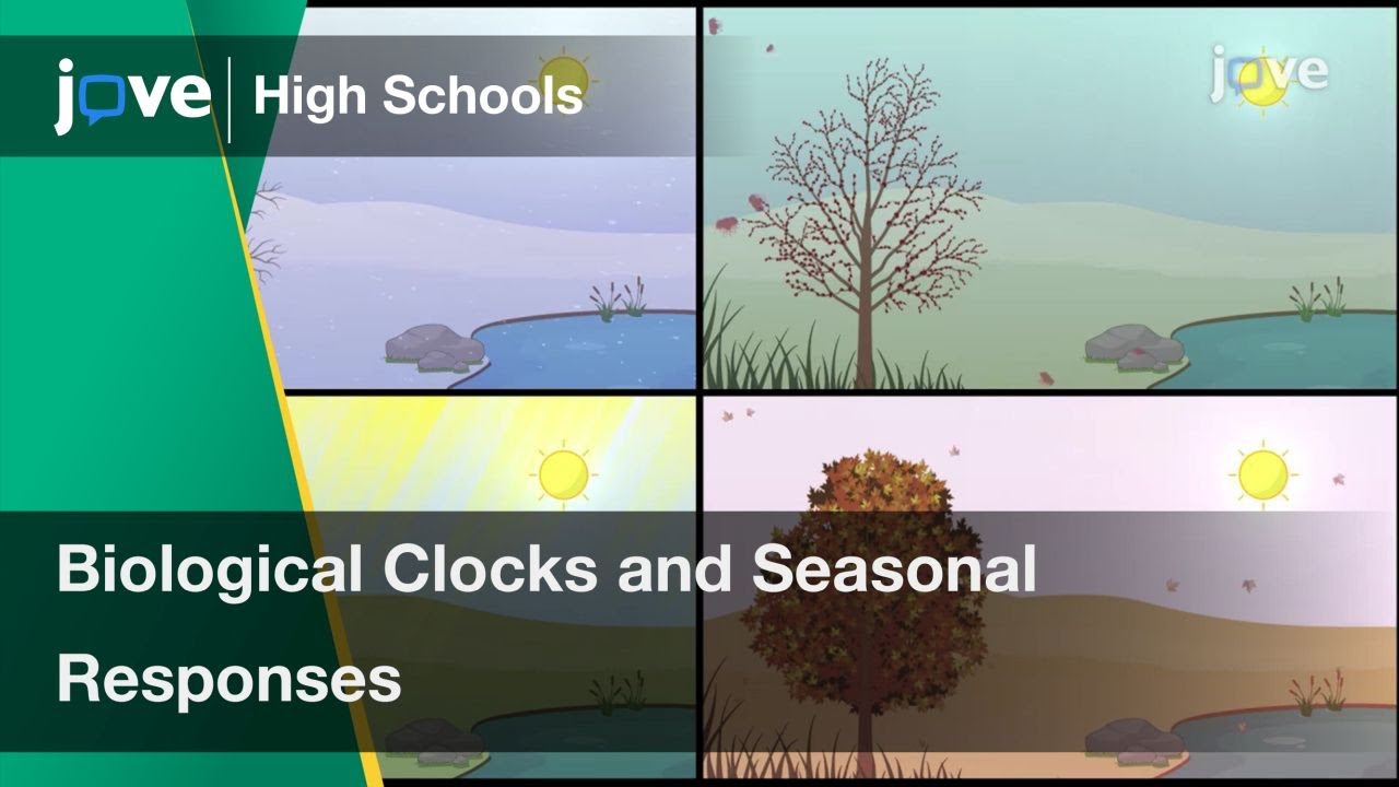 Biological Clocks and Seasonal Responses | Bio | Video Textbooks ...