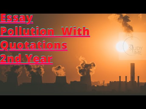 Essay Pollution its causes and effect on Enviroment |With quotations ...