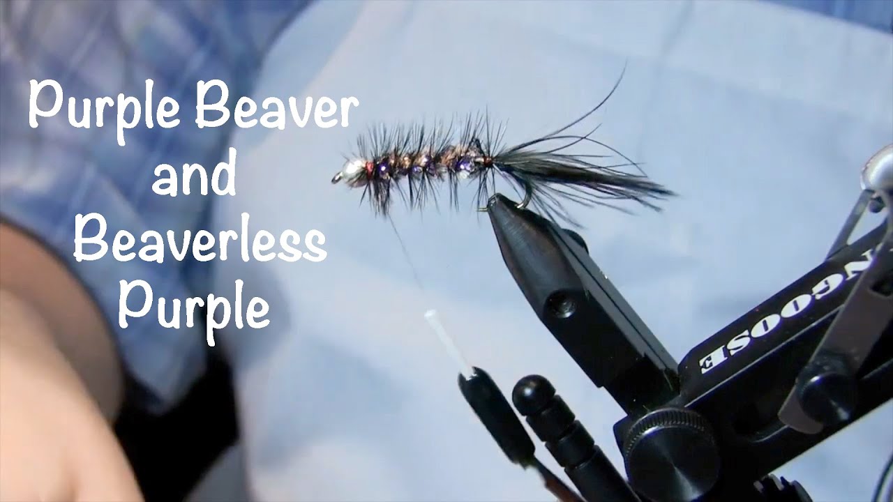 HCFF Dave Gibson Purple Beaver and Beaverless Purple Advanced Fly Tying ...