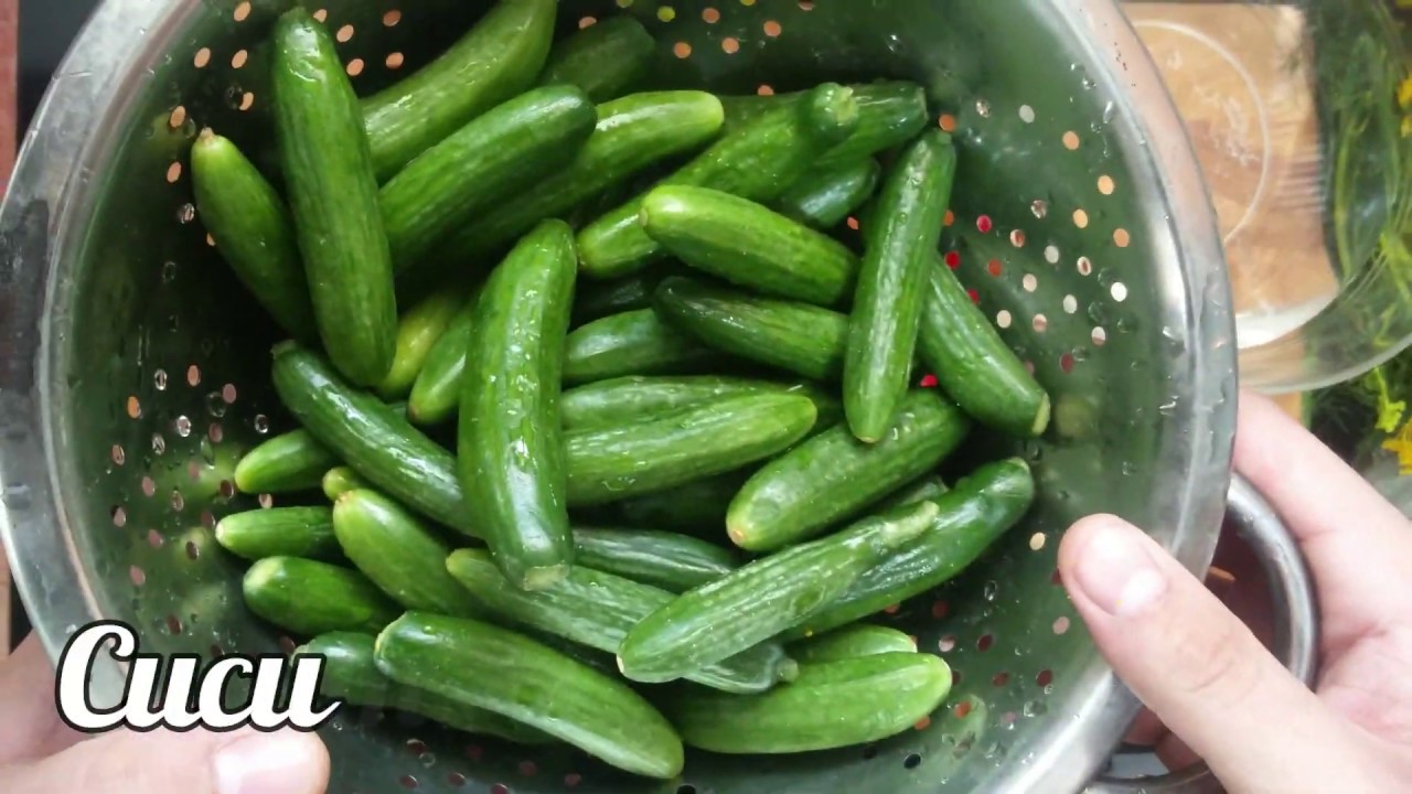 how to make SALTY PICKLES 4K - recipe - YouTube