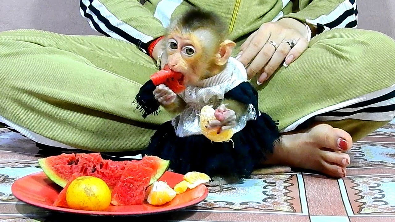 Baby show low voice cos he like all fruit, He eating fruit with take a ...