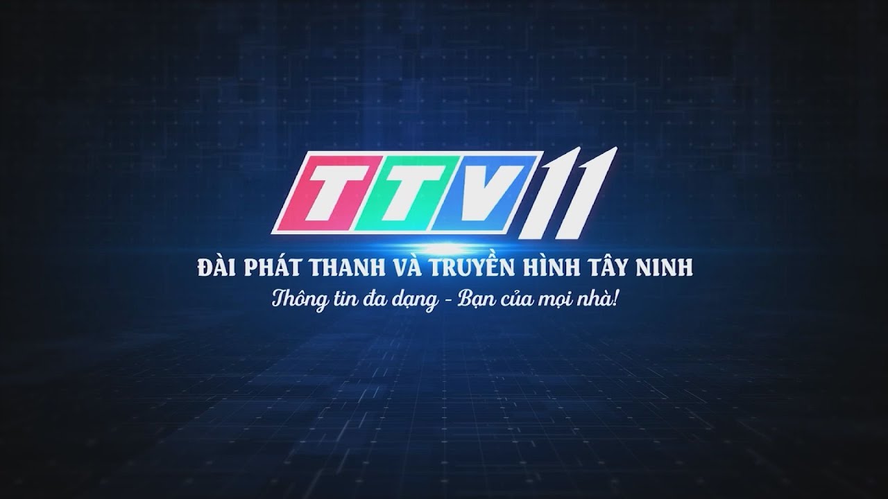 👉 Các Bản tin - Chương trình trong ngày trên kênh TTV11 📲 - YouTube