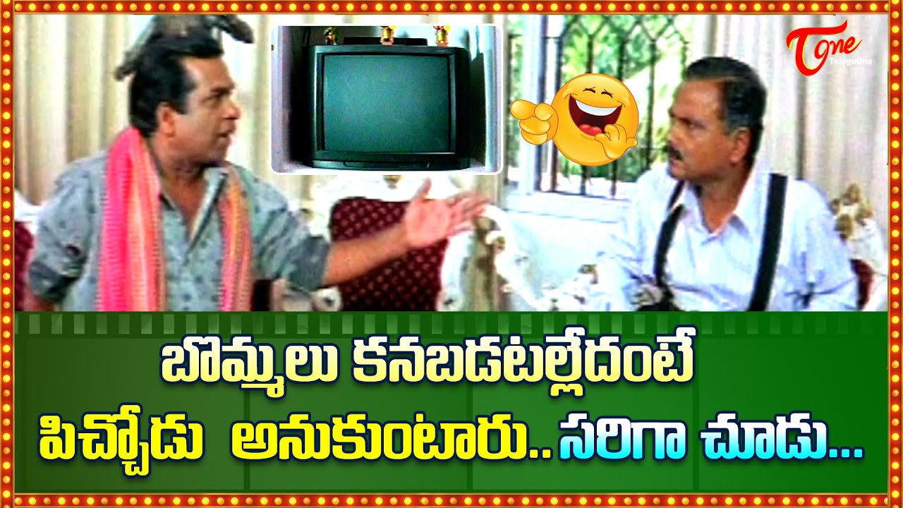 బొమ్మలు కనబడటల్లేదంటే పిచ్చోడు అనుకుంటారు.. | Brahmanandam, LB Sriram ...