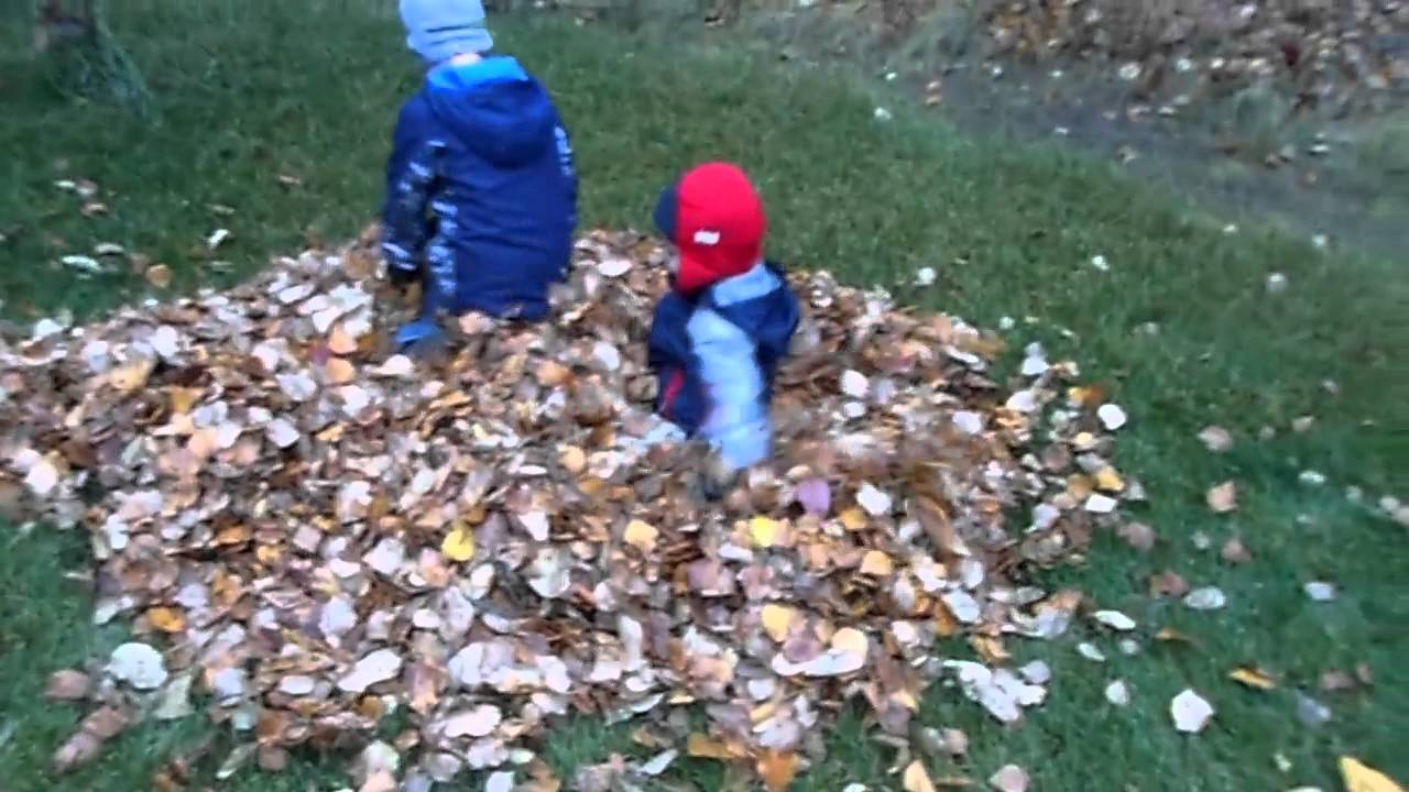 All the leaves are falling down - YouTube