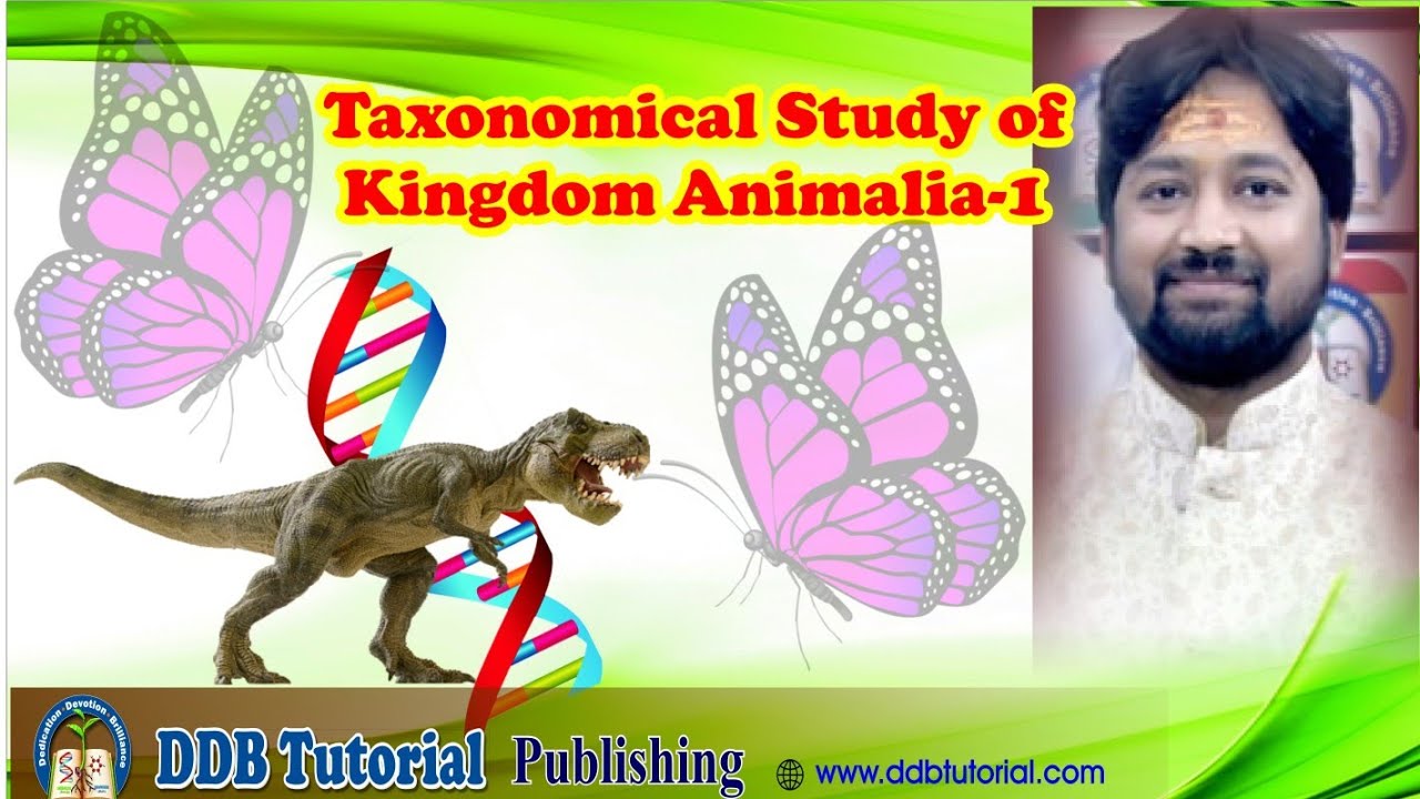 Taxonomical study of kingdom animalia -1 - YouTube