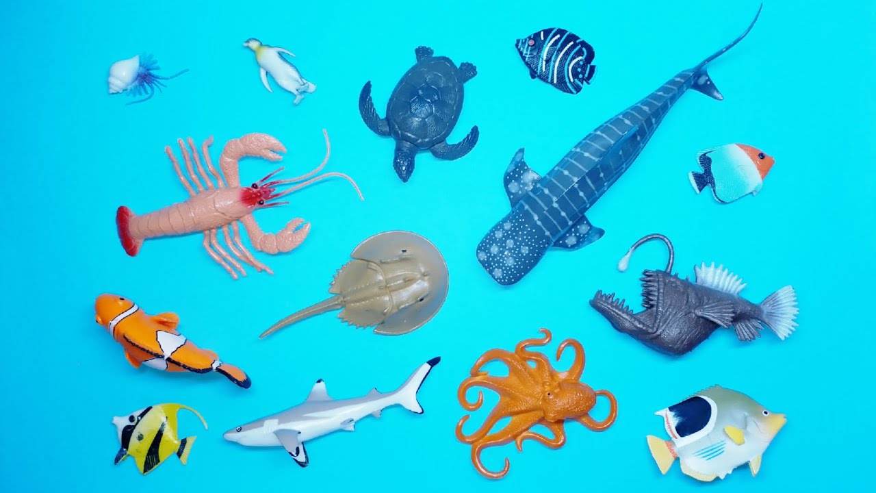 Hunting Found Sea Animals Clown Fish, Hammerhead Shark, Orca Whale ...