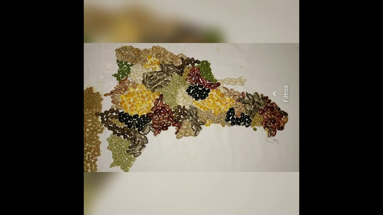 cuadro de semillas (representación de la isla de República Dominicana ...