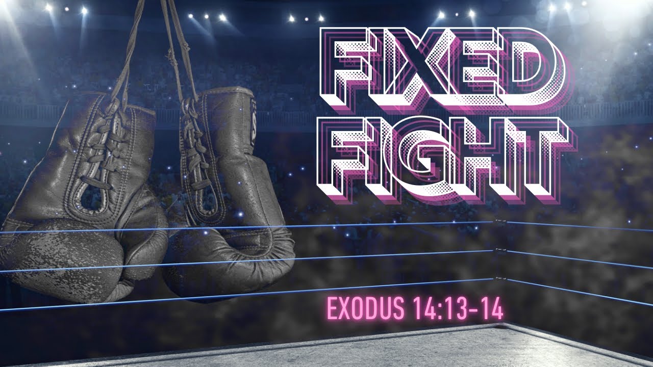 It’s a FIXED FIGHT 🥊 🥊 - YouTube