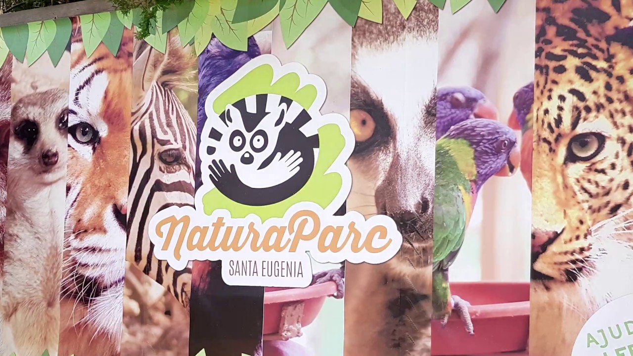 Zoologico Natura Park (Mallorca) - YouTube