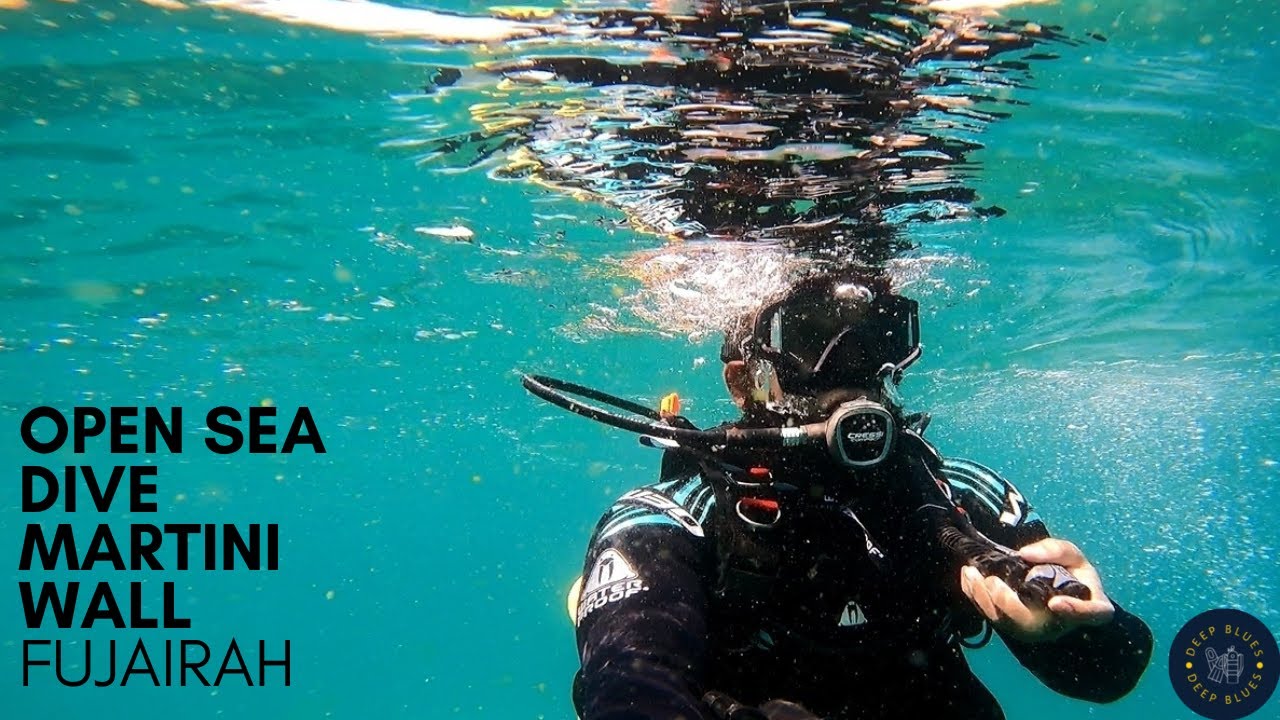 Open Sea Dive - Martini Wall, Fujrairah, UAE - YouTube