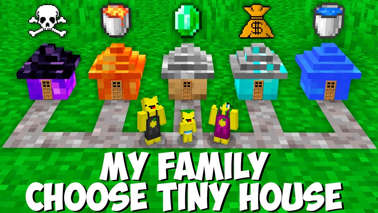 What tiny HOUSE WILL MY FAMILY CHOOSE in Minecraft ? SECRET MINI HOUSE ...