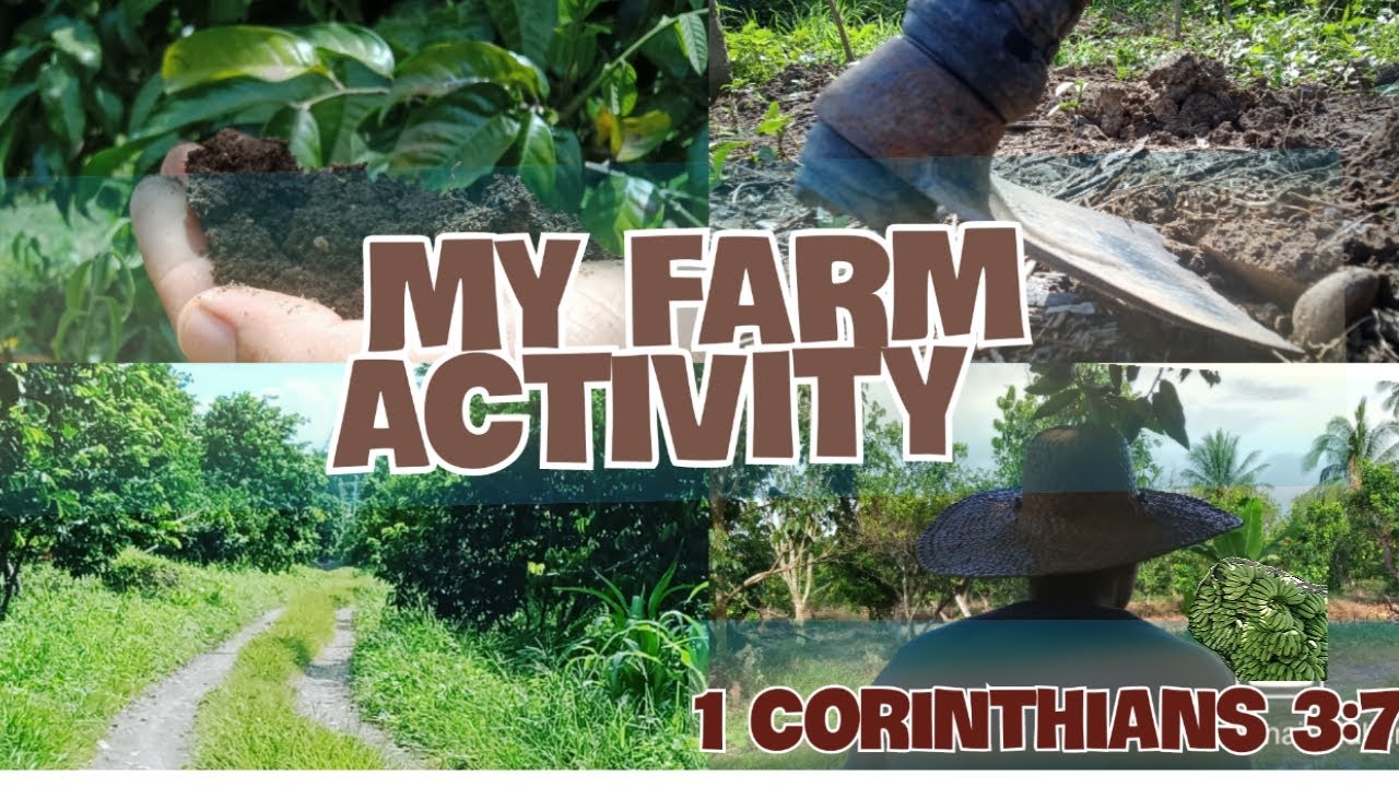 BUHAY BUKID - BUHAY PROBINSYA/My farm activity - YouTube