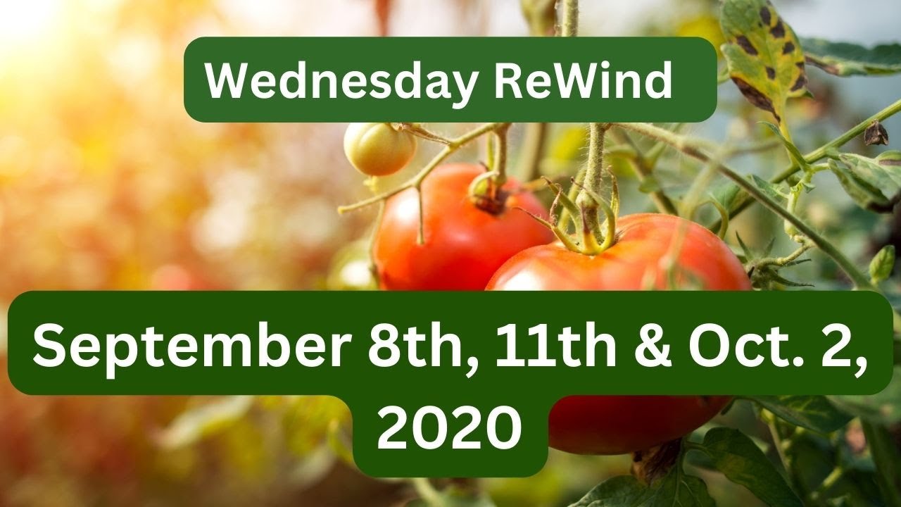 Wednesday ReWind - Rebuilding and a Fall Tomato Adventure - Vlog Remix ...