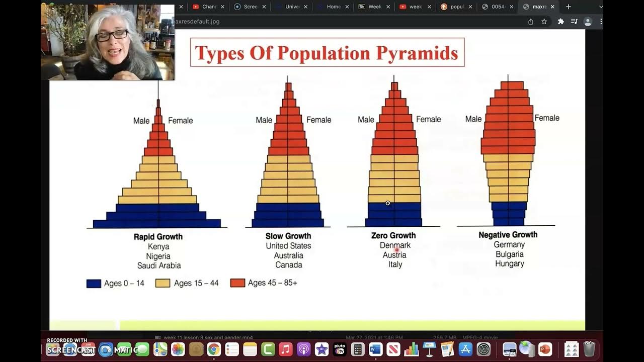 interpreting population pyramids Cultural Geography class - YouTube