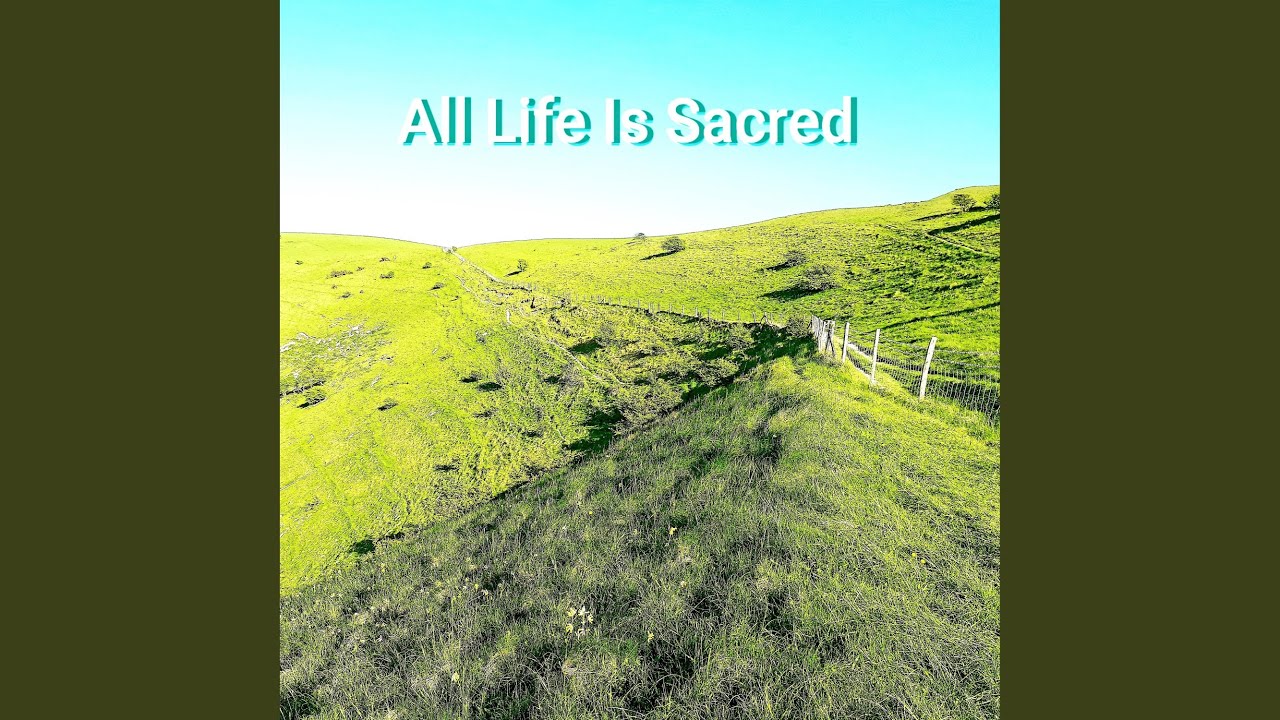 All Life Is Sacred - YouTube