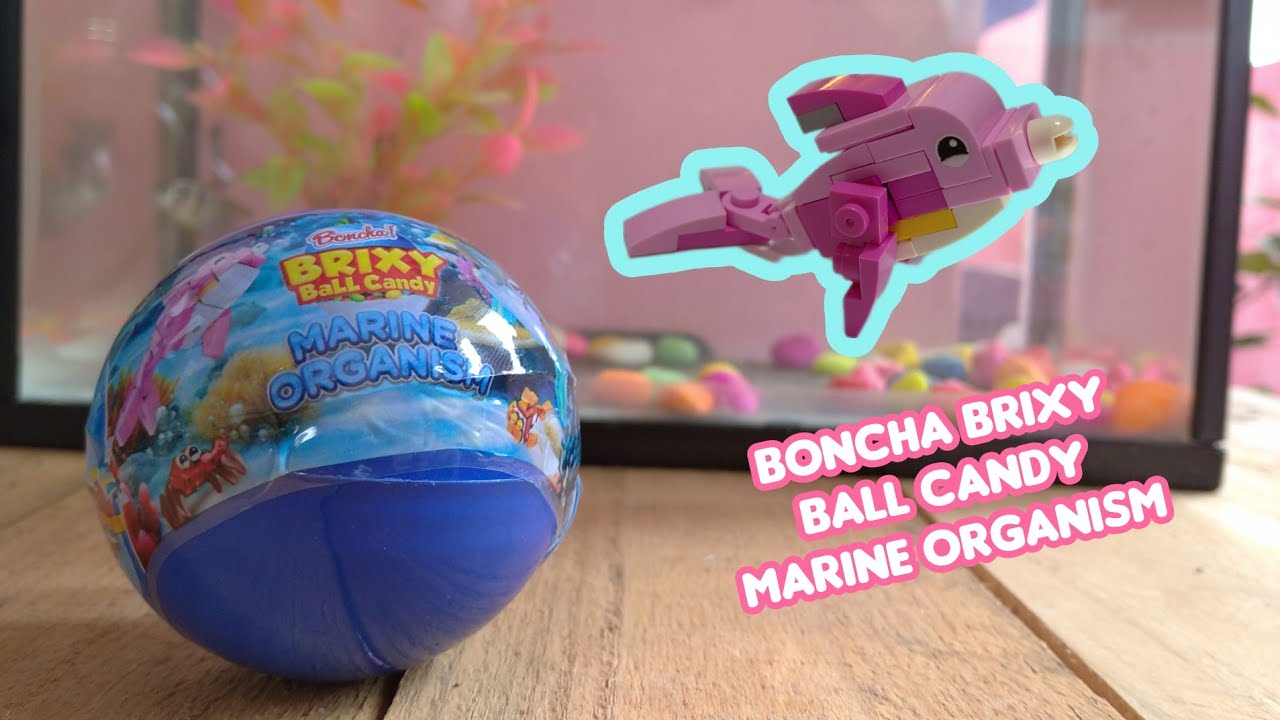 UNBOXING & RAKIT BRICK BONCHA BRIXY BALL CANDY MARINE ORGANISM PART ...
