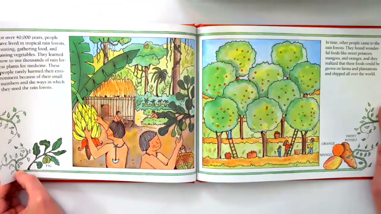 Nature's Green Umbrella Gail Gibbons - YouTube