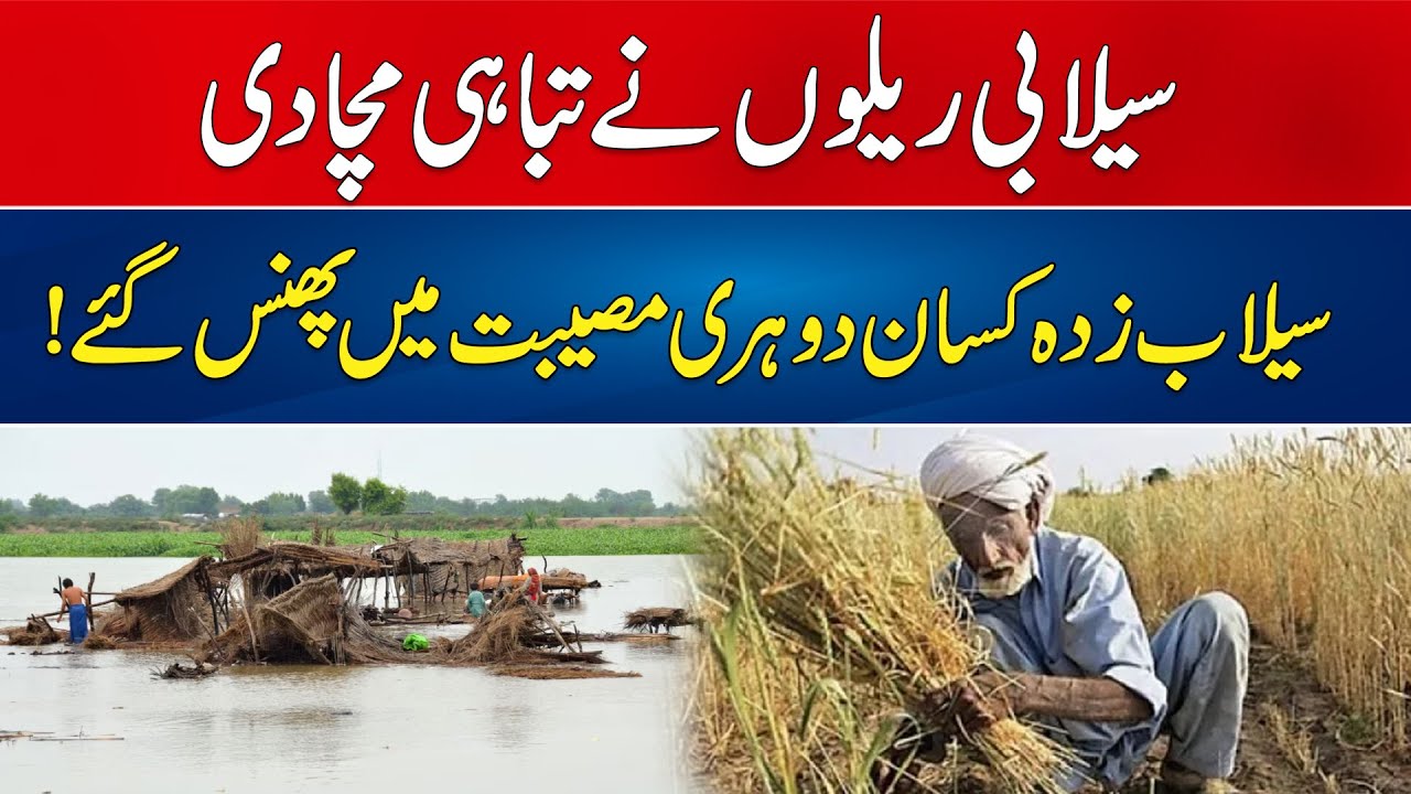 Farmers In Trouble | Flash Flood | Breaking News | City41 - YouTube