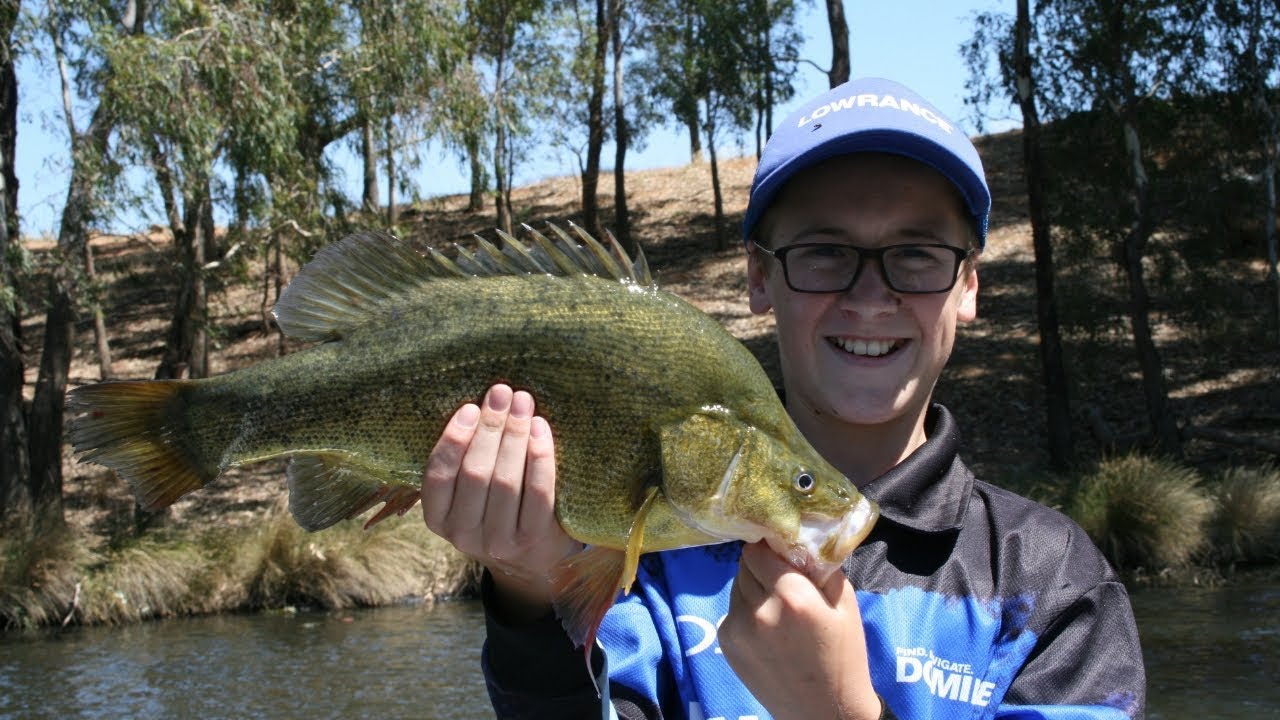 PB Yella Caught | Murray Cod and Yellowbelly Fishing | 2019 - YouTube