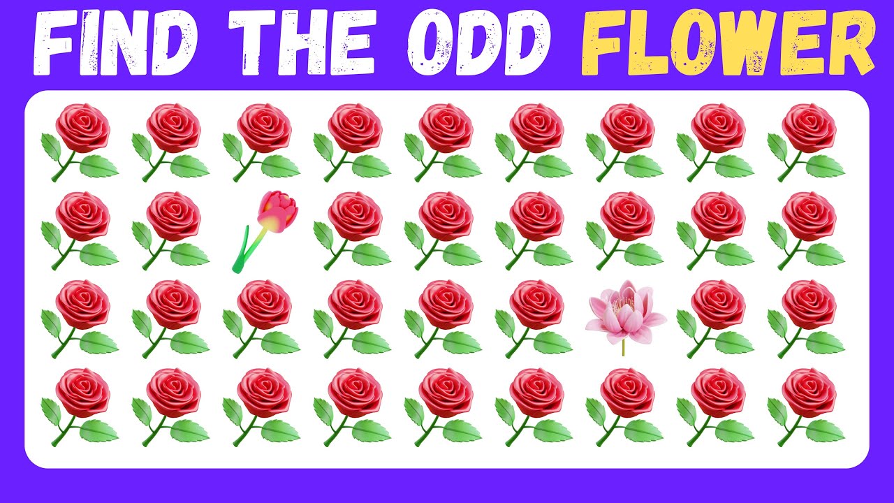 Find the ODD One Out - Flower Edition 🌹🌻💐 Easy, Medium and Hard Levels ...