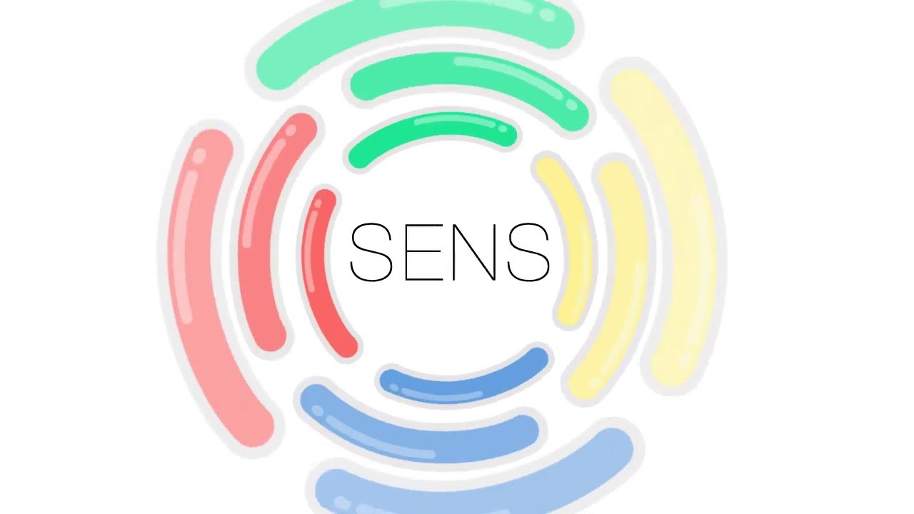 SENS Game - YouTube