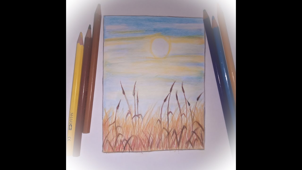 How to draw scenery/landscape of crops field with color step by step ...