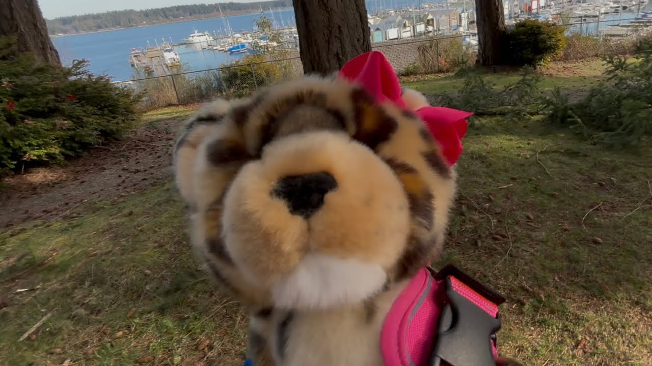 Quick outing with Secret! - YouTube