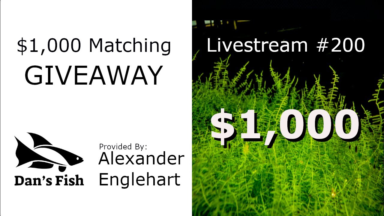 $1,000 Matching Giveaway w/Alexander Englehart: Celebrating our 200th ...