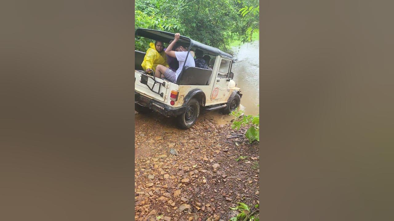 Way to butterfly beach goa - YouTube