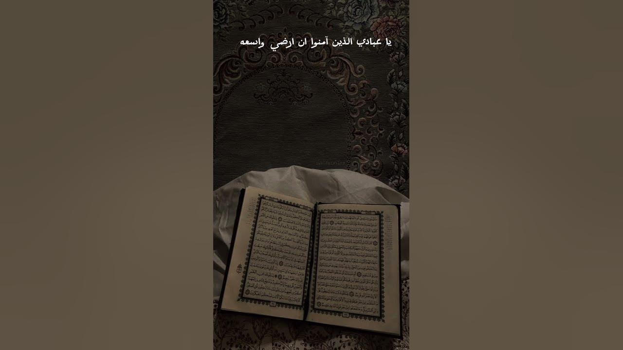 {يا عبادي الذين آمنوا ان ارضي واسعة} سوره العنكبوت عبد الرحمن مسعد
