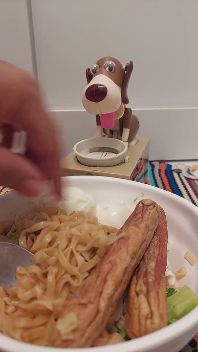 TRENDING ASMR DOGGY WANT NOODLES HOTDOG AND EGG #asmrtriggers #asmr #satisfying #shorts - YouTube