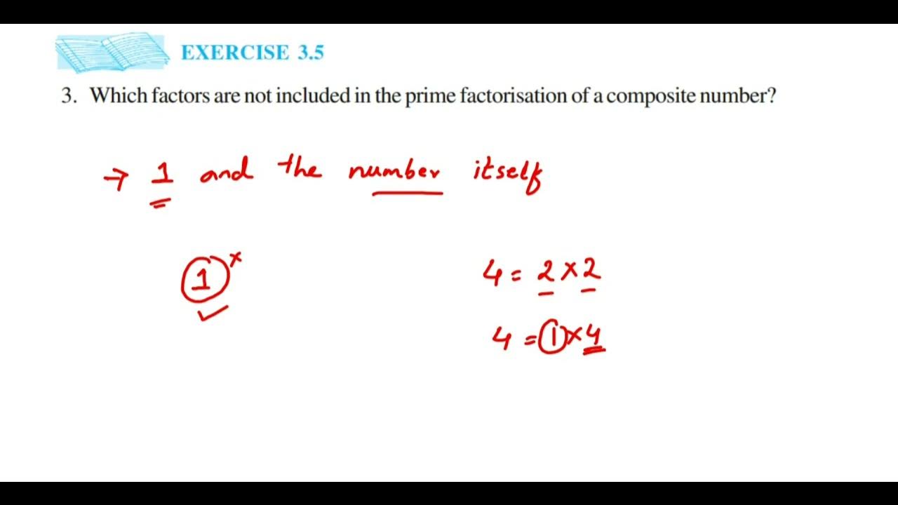 Which Factors Are Not Included In The Prime Factorisation Of A which-factors-are-not-included-in-the-prime-factorisation-of-a