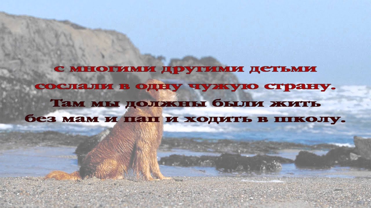 Вечерние рассказы для детей. История 057 - YouTube