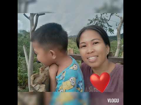 ahla Donia Arabic song no copyright infringement intended