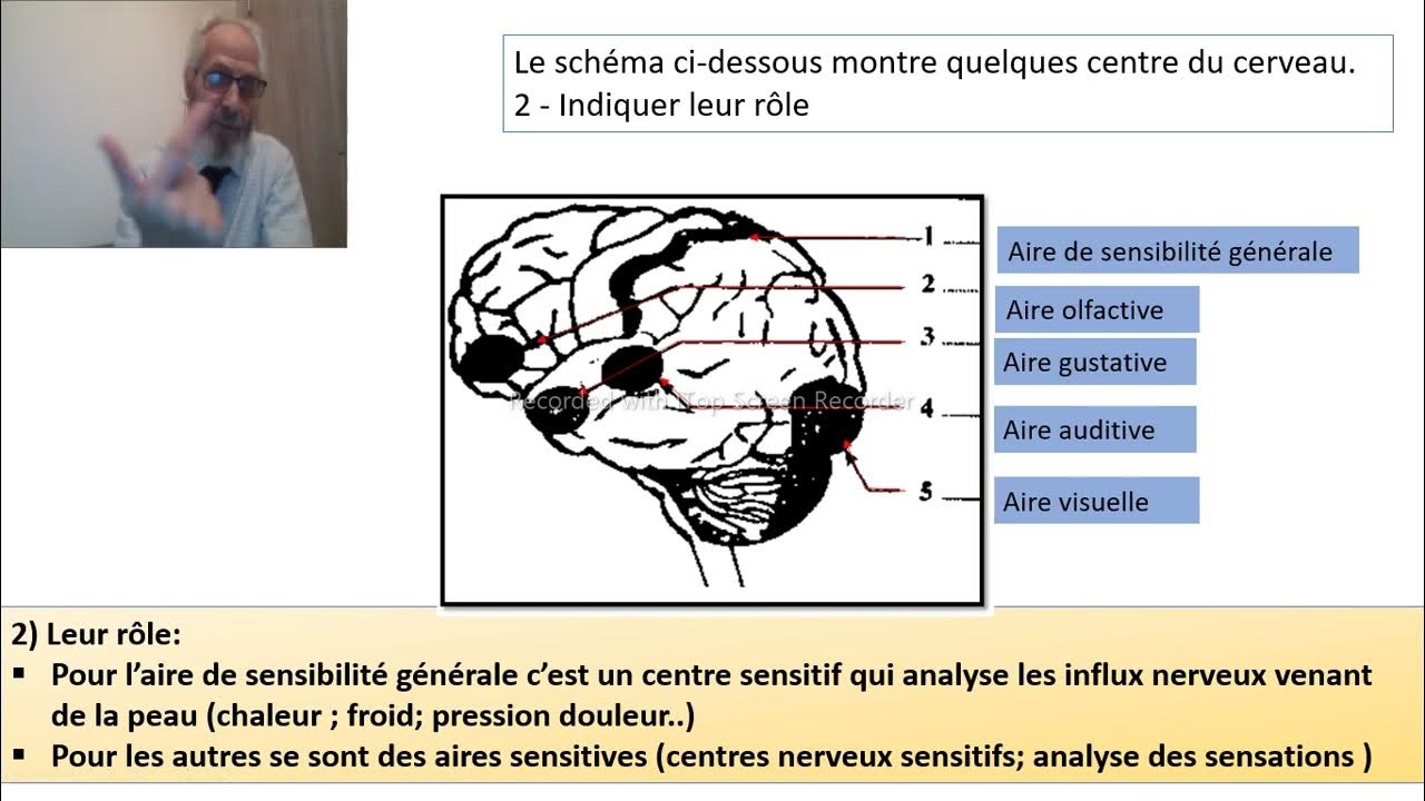 exercices sensibilité consciente 3APIC - YouTube
